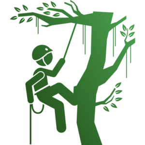 About Us | West Coast Tree Service